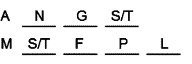 LSAT PrepTest 24, Section IV, Logic Game 1 Diagram